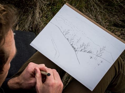 Learn Art Basics With Bay Area Drawing Classes Classbento