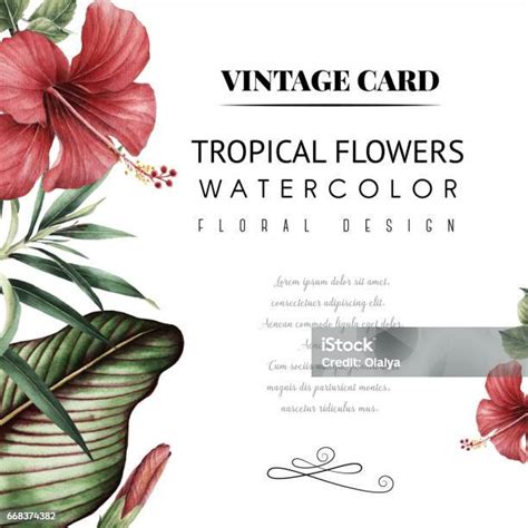 열 대 꽃 수채화 인사말 카드는 결혼식 생일 및 다른 휴일과 여름 배경 초청장으로 사용할 수 있습니다 0명에 대한 스톡 벡터 아트 및 기타 이미지 Istock