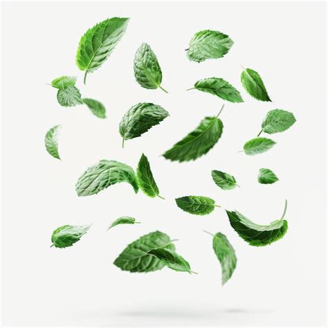 新鮮的綠色薄荷葉落下並漂浮在白色背景上 Premium Ai Generated Image