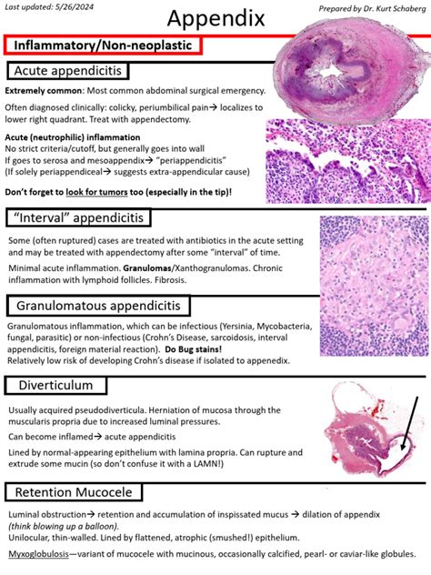 Appendix Pdf Causes Of Death Cancer