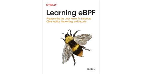 Anas Alloush Msc On Linkedin Learning Ebpf