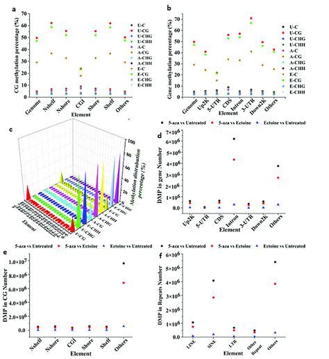Ectoine Hypomethylated Dna In Skin Cells Global Dna Methylation
