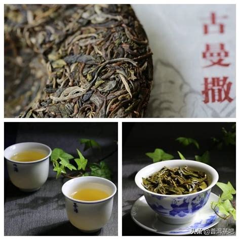 買茶認山頭普洱古六大茶山你都知道嗎 每日頭條