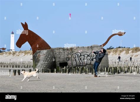 Stahl Skulptur Eines Pferdes Und Beton Bunker Entlang Der Strand Von