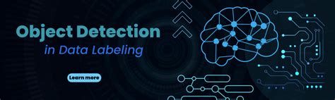 Data Labelling Object Detection