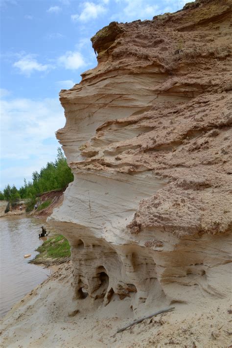 Placoderms From The Devonian Period Fossil Hunting Trips The Fossil