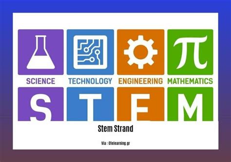 Facts About Stem Strand Exploring The Science Technology Engineering And Mathematics Pathway
