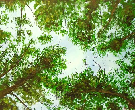 Tree Haven Twinktrin