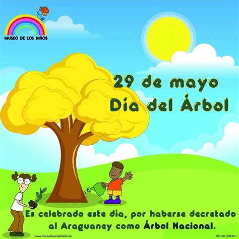 Imagenes Del Araguaney De Venezuela Para Dibujar Imagui