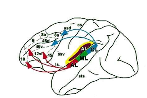 Figure 411