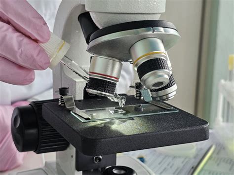 Scientist Examines Liquid Sample Under Microscope In Laboratory Stock