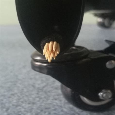 Fabio Silveira Fabio Silveira Gmrz0 Roboflow Universe