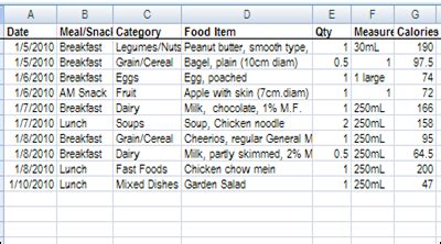 Excel Calorie Counter Contextures Blog