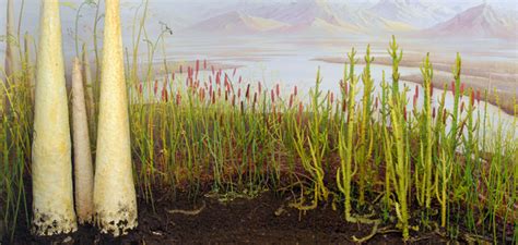 Silurian Early Devonian Terrestrial Communities Sam Noble Museum
