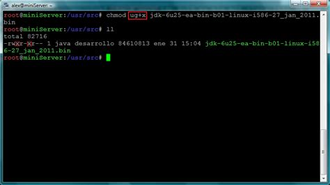 Tutoriales De Programacion Java Instalación De Un Servidor De