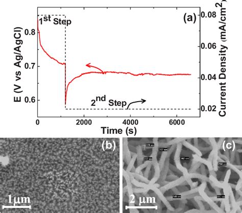 Pdf Polyaniline Nanowires Gold Nanoparticles Hybrid Network Based Chemiresistive Hydrogen