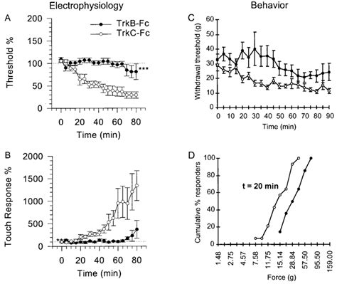 Intrathecal Trkb Fc But Not Trkc Fc Fusion Protein Prevents The