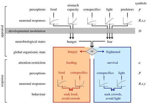 Learning Notes On Agent Based Modelling Abm Anomie