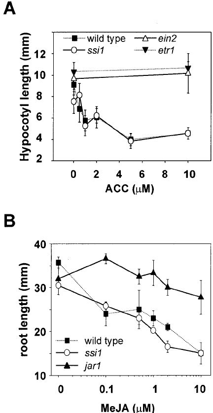 Ethylene And Jasmonic Acid Ja Sensitivity Of Ssi1 Seedlings A