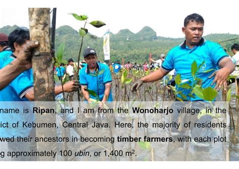 Timber Farming In Central Java Ppt