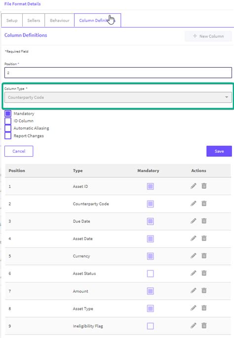 Ngp File Format Asset Files Open Items And New Only And Debtor Files Column Definitions Tab
