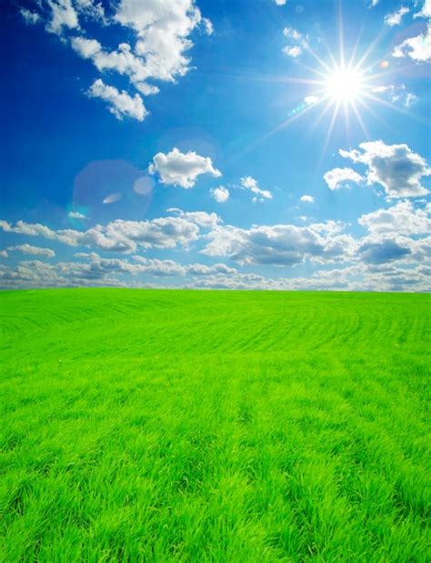 Página 45 Imágenes De Fondo Cielo Y Pasto Descarga Gratuita En Freepik