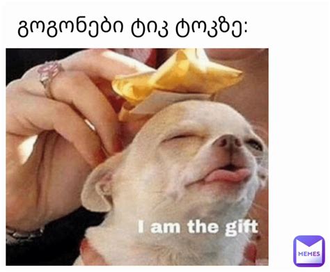 როცა ცდილობ კომუნიკაბელური იყო ხალხი შენ Mary Bari Memes