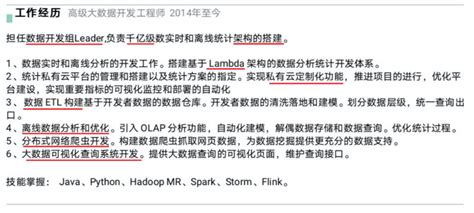 一份优秀的大数据开发简历是怎么样的？ csdn博客