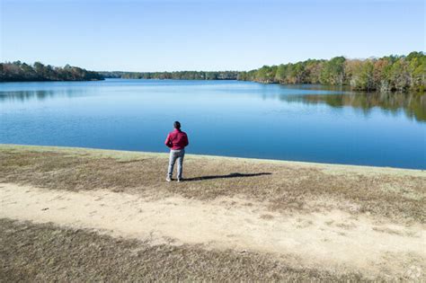 About Lake Carolina Schools Demographics Things To Do