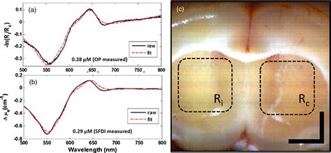 Spatial Mapping Of Drug Delivery To Brain Tissue Using Hyperspectral Spatial Frequency Domain