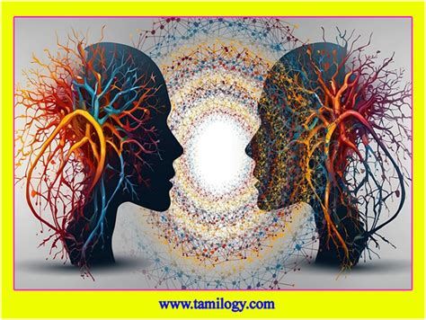 Machine Learning Algorithms In Tamil இயந்திரக் கற்றல் அல்காரிதங்கள்