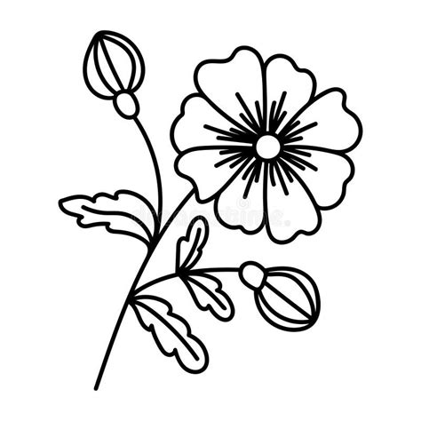 Silhouette De Fleurs Sur Fond Blanc Illustration De Vecteur
