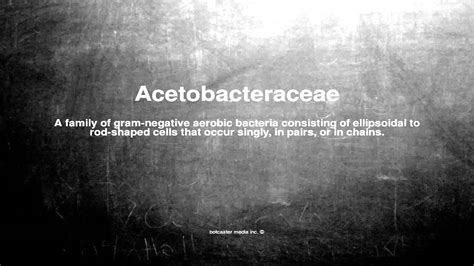 Medical Vocabulary What Does Acetobacteraceae Mean Youtube