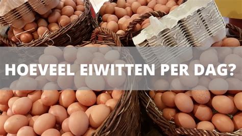 Hoeveel Eiwitten Per Dag Muscle Concepts