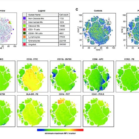 unsupervised t stochastic neighbor embedding tsne analysis