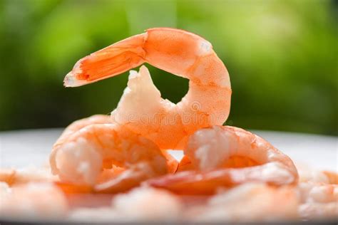 Verse Garnalen Op Het Bord Geserveerd Met Saus Van Zeevruchten
