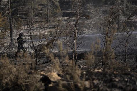 Ya Es El Primer Gran Incendio Forestal En España