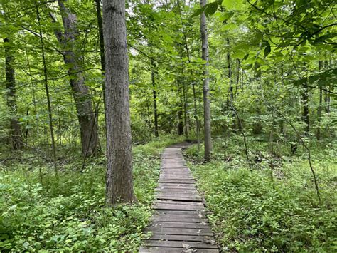 Loopty Loop Trail Run Recap Miles Fly By