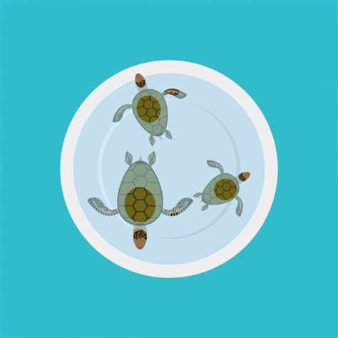 Explaining The Turtle Soup Trading Strategy Learn Cfds