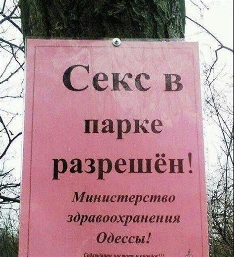 Пин от пользователя TAIRITSU на доске (o≖ ≖). Σ(-`ω´-;) | Шутки, Мемы ...