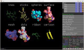 Standard Visual Representations Of Molecules Pymol Download Scientific Diagram