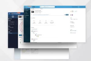 Wso Api Manager Trust It