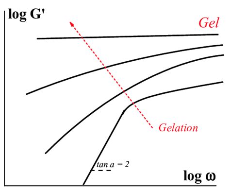 Evolution Of The Storage Modulus In The Process Of Gelation Scheme