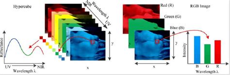 hyperspectral and rgb image components [18] download scientific diagram