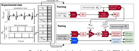 Figure 1 From Detecting Gait Events From Accelerations Using Reservoir Computing Semantic Scholar
