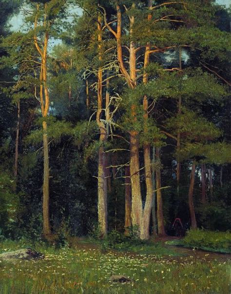 Pine Forest in Ligovo 1895 106, 4h73 — Ivan Ivanovich Shishkin