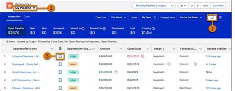 Customize Your Pipeline Inspection Experience Salesforce Trailhead