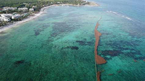 Seaweed Barriers Enviro Usa