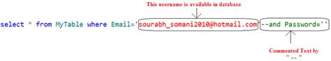 SQL Injection In ASP Net