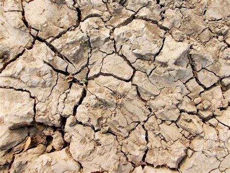 How To Fix Compacted Soil In Your Yard All Around Soil And Stone